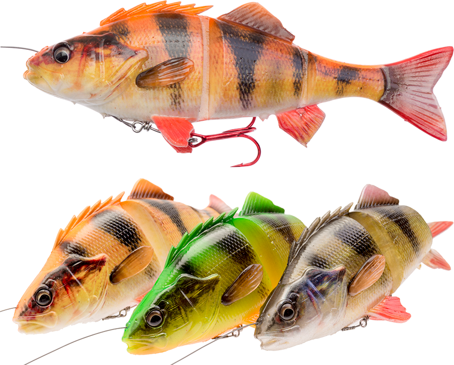 Savage Gear 4D Line Thru Perch - Albino - Fischzeux.at Angelshop, 17,28