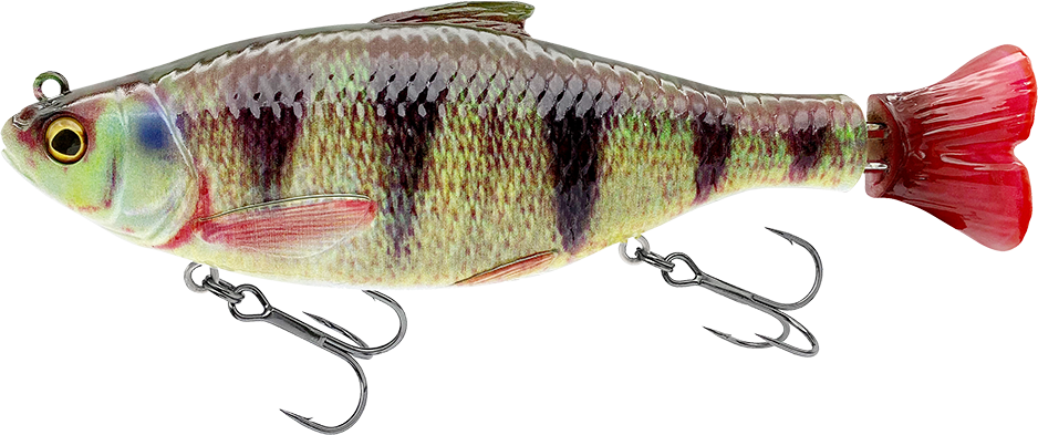 Savage Gear 3D Hard Pulsetail Roach - Perch - Fischzeux.at Angelshop, 16,79